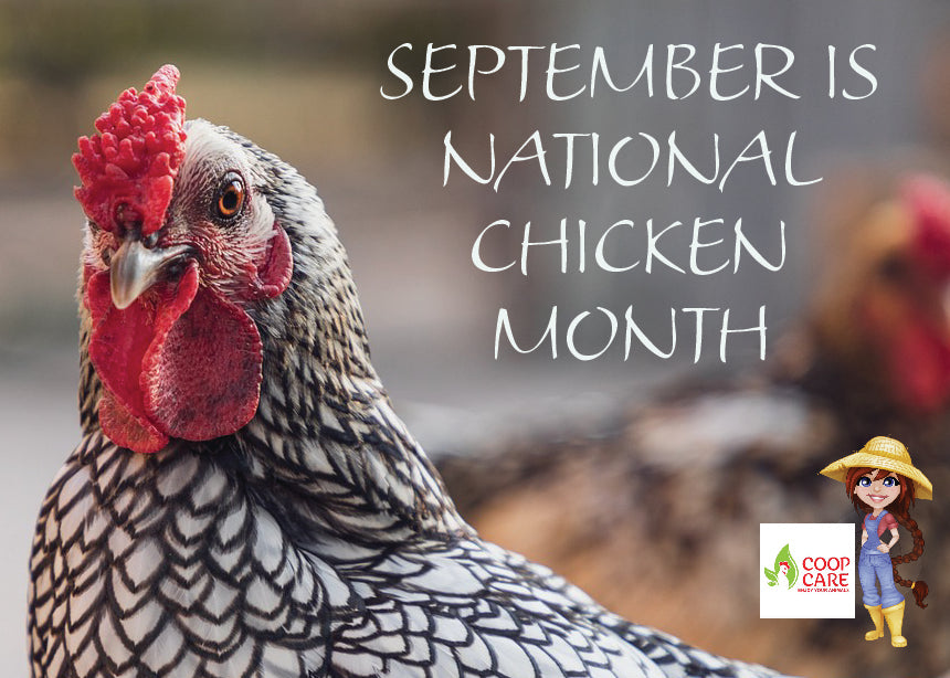 National Chicken Month – Coop Care