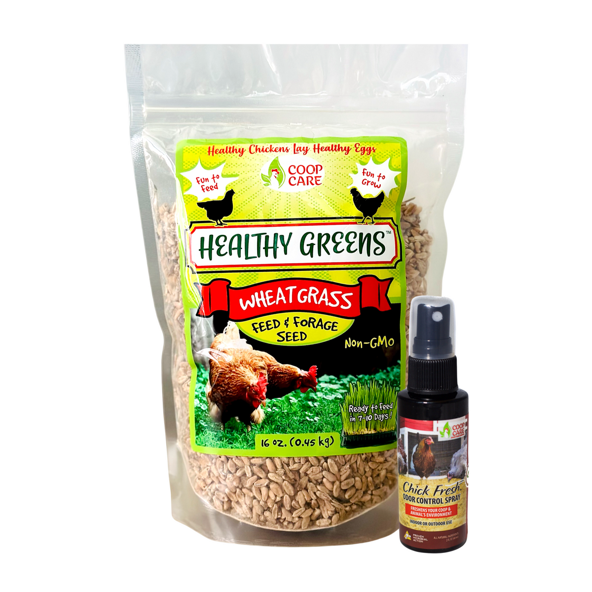 Healthy Greens Wheatgrass Scratch Feed & Fodder Seed, 1lb Bag. Premium ...